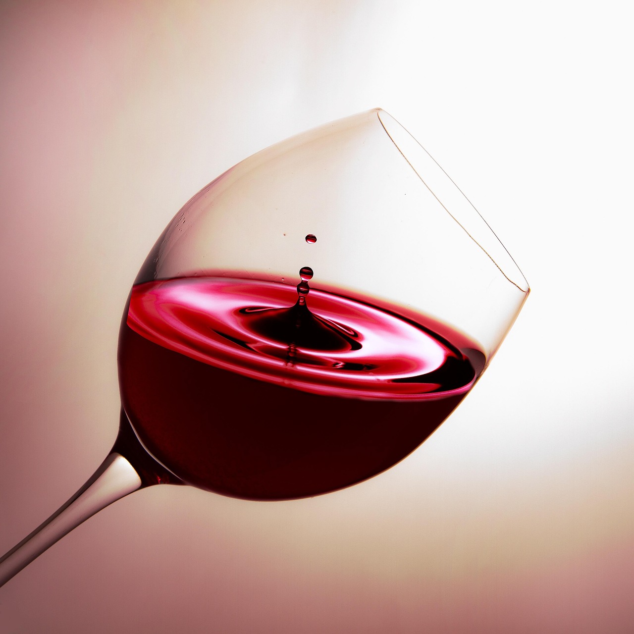 Canicatti Web Notizie -Etna Wine Forum 2025, il festival del vino etneo